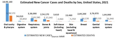 Pdx Model Marketglobal Overview And Forecast 2022 2029