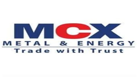 Sebi Approves Appointment Of Praveena Rai As Md And Ceo Of Mcx Market