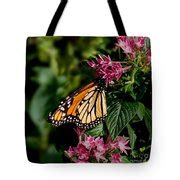 A Monarch Butterfly Photograph By L Bosco Fine Art America