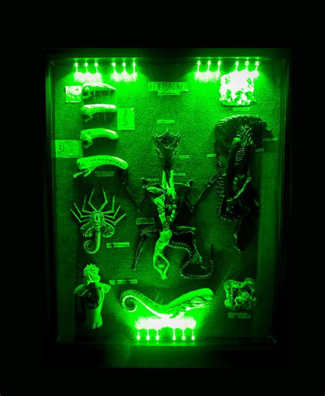 Xenomorph Anatomy Shadow Box Hand Sculpted In Clay Album On Imgur