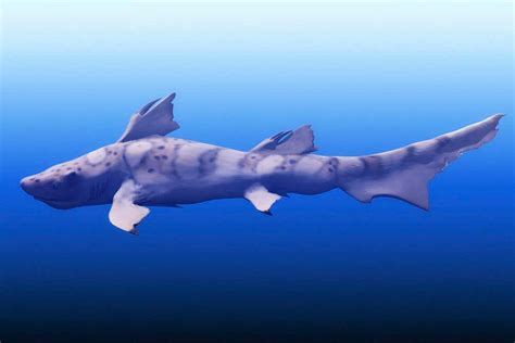 Top Predators Still Prowled The Seas After The Biggest Mass Extinction