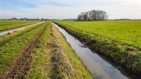 Trench Vs Ditch Whats The Difference Angi