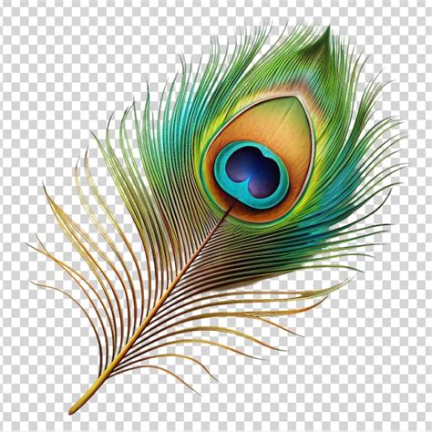 Premium Psd A Peacock Feather With A Blue Eye