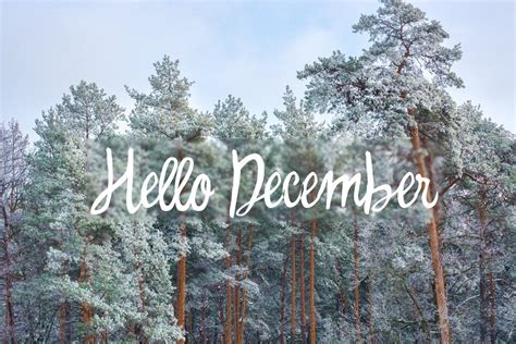 4 Things You Need To Know About This December