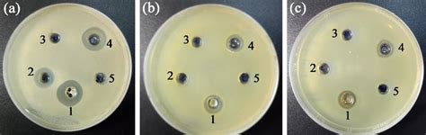 Antimicrobial Activity Determined Using Agar Well Diffusion Method