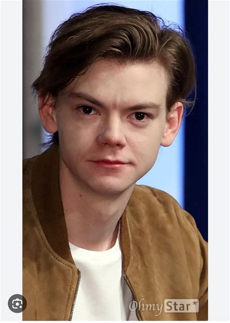 메디슨 닮은꼴 배우 유머움짤이슈 에펨코리아