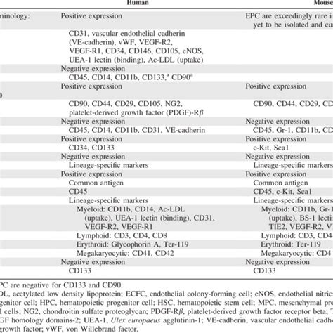 Common Markers Used To Identify Epc Mpc Hsc And Hpc Download Table