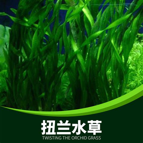 纽兰图片湖北武汉大山谷图库