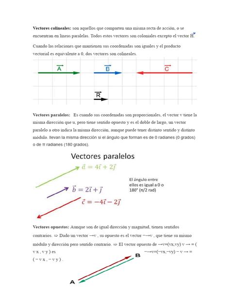 Tipos De Vectores Colineales Paralelos Y Más Pdf
