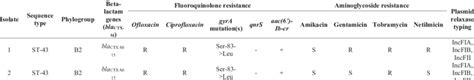 Resistance Genes Sequence Types Other Antibiotic Resistance Gene
