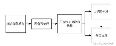 基于深度学习和改进卷积神经网络的花卉信息识别系统 基于深度学习的花卉智能识别 csdn博客