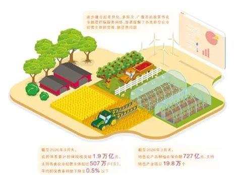 人民日报聚焦淮南：政策性农担这样稳粮富农澎湃号·政务澎湃新闻 The Paper