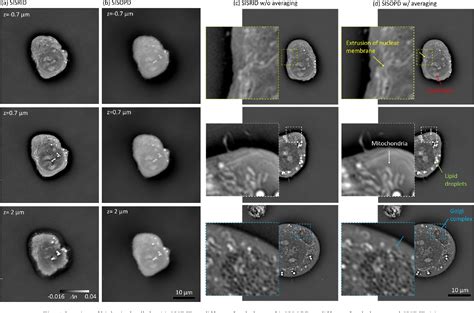Quantitative Phase And Refractive Index Imaging Of 3d Objects Via Optical Transfer Function