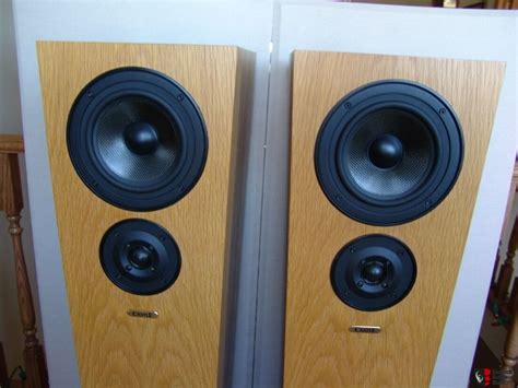 Castle Inversion 100 Transmission Line Speakerspending Salesold