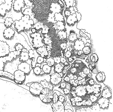 Levantamiento Jardín Botánico Uach On Behance