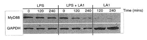 Compounds And Methods For Regulating Integrins Eureka Patsnap