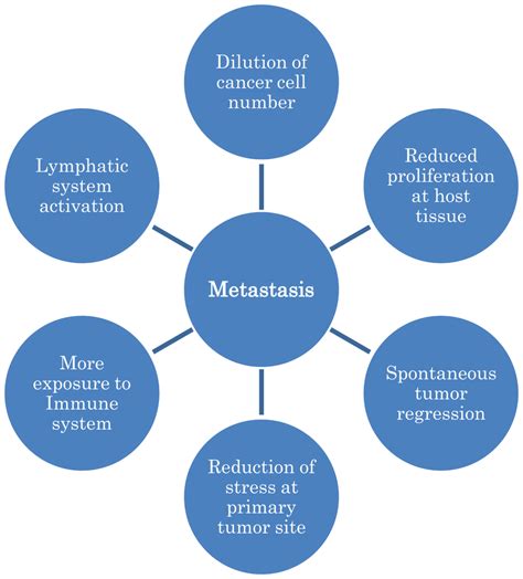 A Simple Model To Illustrate That How Metastasis Is Helpful For The
