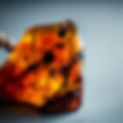 The Allure Of Burmese Amber A Comprehensive Exploration