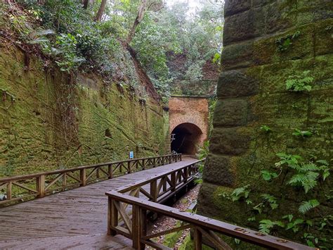 The 10 Best Parks And Nature Attractions In Yokosuka 2026