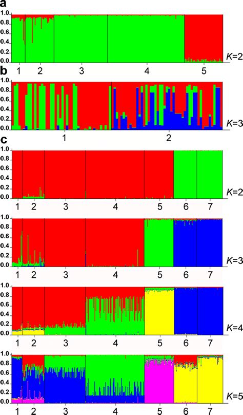bayesian genotypic cluster analysis based on bola drb3 polymorphism for