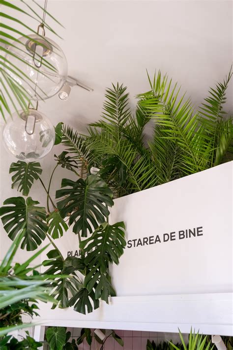 Departam Departamentul Informaţional Biblioteconomic Ulim