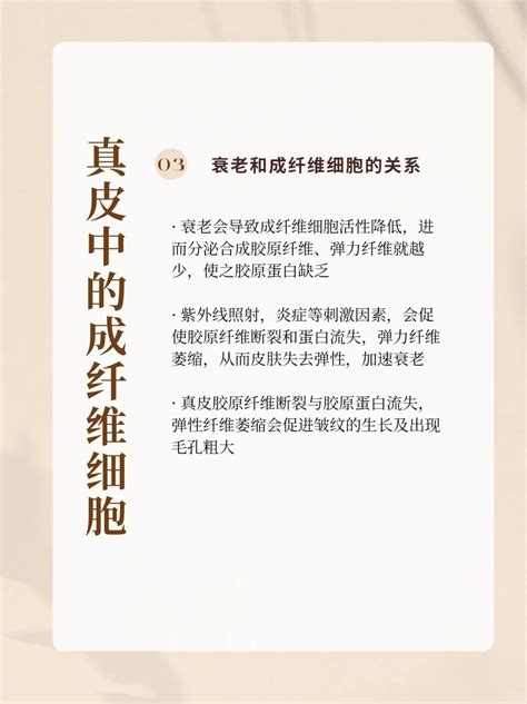 郑州美莱带你认识真皮层！ 知乎