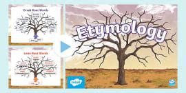 What Are Root Words Root Words In English Twinkl