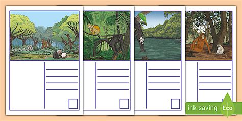 Monkey Postcards Teacher Made Twinkl