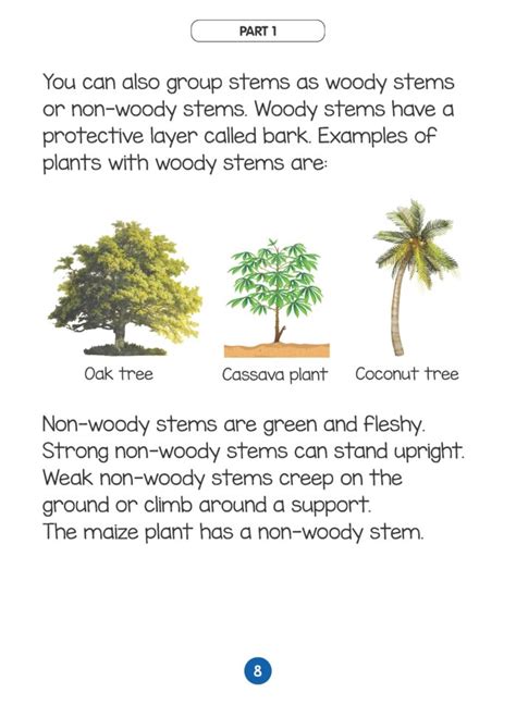 Little Science Explorers Book 3 Cpd Singapore Education Services Pte Ltd