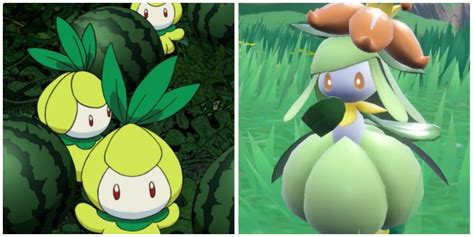 Every Pokémon That Evolves By Sun Stone