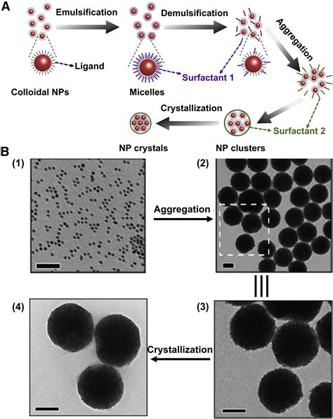 Emulsion Confined Self Assembly Of Colloidal Nanoparticles Into 3d