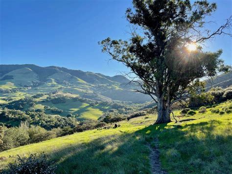 Best Hikes In Slo County Ca Find Trails For All Skill Levels San