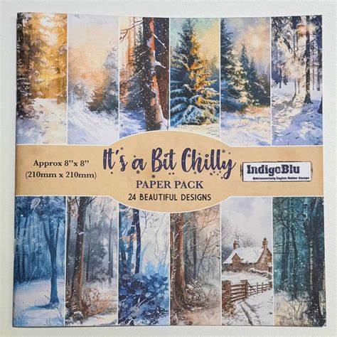Its A Bit Chilly Paper Book 8 X 8 Indigoblu