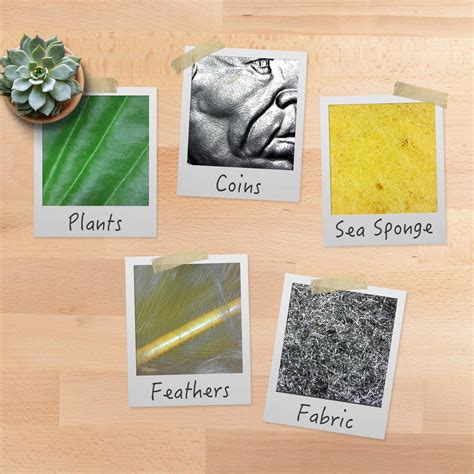 Plugable 250x Digital Usb Microscope With Observation Stand ~ Plugable