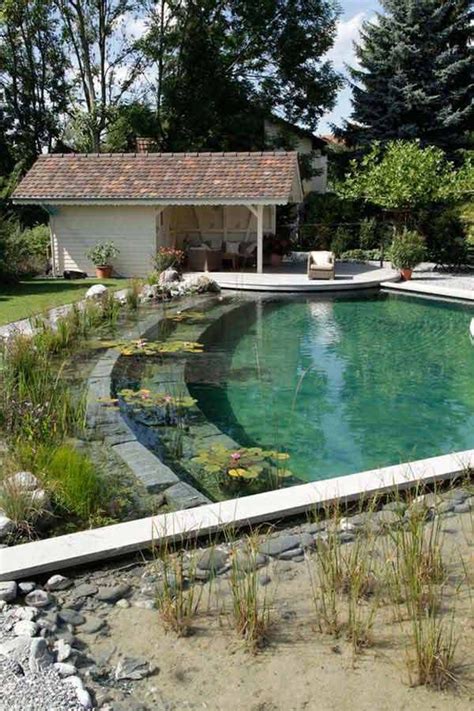 Small Natural Swimming Pools Homystyle