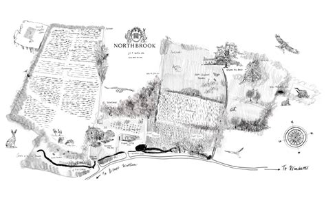 Abby Cook Creator Of Our Estate Map Northbrook Vineyard