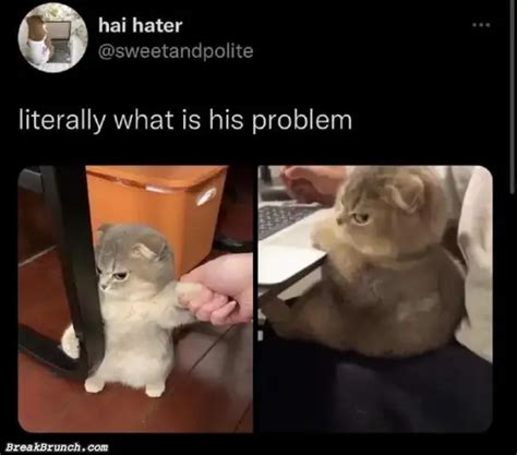 What Is His Problem Breakbrunch