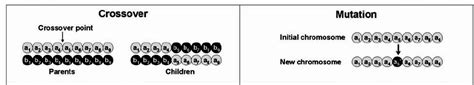 Single Point Crossover And Mutation Download Scientific Diagram