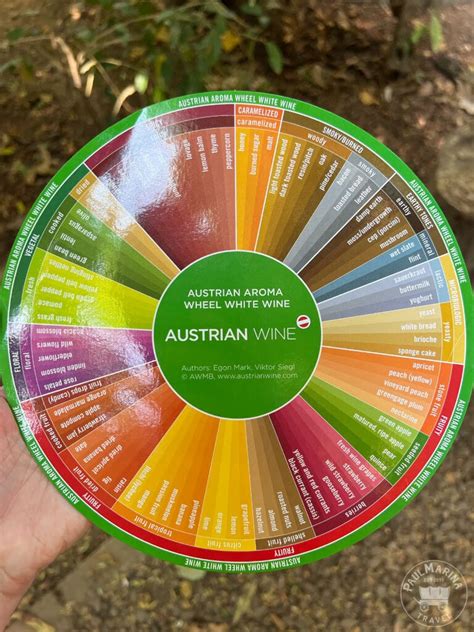 Austrian Wine 2024 Trends Terms Explained