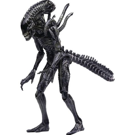 Predalien Vs Alien Queen