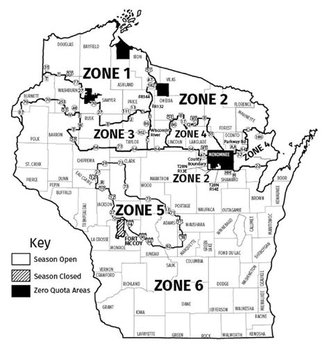 Balancing The Gray Wolf Population In Wisconsin Local News