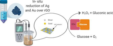Schematic Diagram Represents The Biosensing Process From Composite Download Scientific Diagram