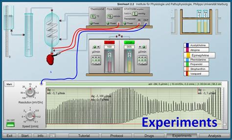 Cardiovascular Physiology Lab Report Example Repack