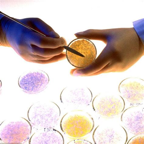 细菌培养管14ml第9页大山谷图库