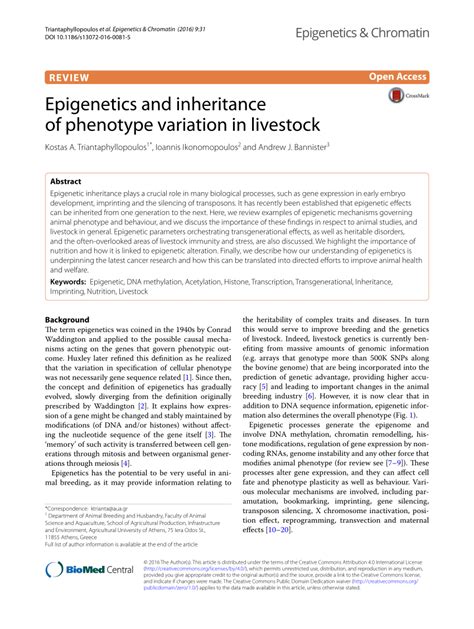 Pdf Epigenetics And Inheritance Of Phenotype Variation In Livestock