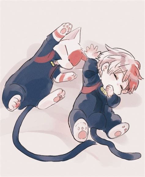 Shouto Todoroki Mha Characters As Cats 3 Shoto Kawaii