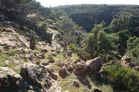 Saida Souk Aktuelle 2021 Lohnt Es Sich Mit Fotos