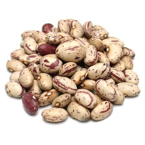 호랑이콩 1kg 매화콩 밤콩 울타리콩 호랑이강낭콩 Ssgcom