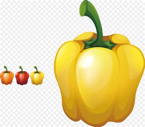卡通精美青椒蔬菜png图片素材下载图片编号qxoalmnv 免抠素材网