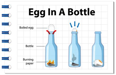 Science Experiment With Egg In A Bottle 1762373 Vector Art At Vecteezy